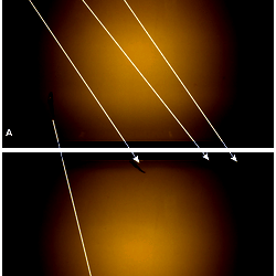 Example of tracking fish through sequential images.
