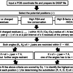 Flowchart of salt-bridge design in this study.