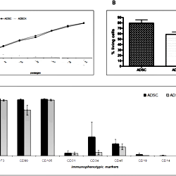 Characterization of ADSC and ADSCK cell cultures.