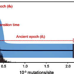 Demographic timeline derived from the best two-epoch demographic model ...