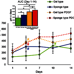 Cell migration distance of human gingival fibroblasts in the gel type ...