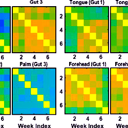 Correlation matrices reflecting microbiome dynamics at four body sites ...