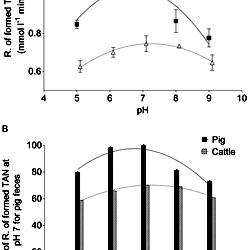 The effect of the pH on fecal urease activity.