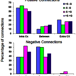 Categorization of positive and negative human connections.