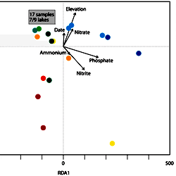 Bi-plot of redundancy analysis of bacterial community composition.