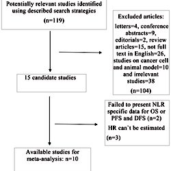 Flow chart of the meta-analysis.