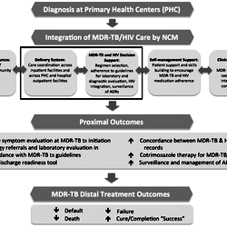 Conceptual framework for NCM elements to improve MDR-TB proximal outcomes.