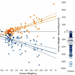 Volume—Weight comparison for Dataset 2.