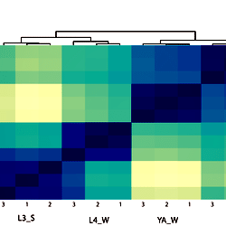 Cross-correlation analysis.