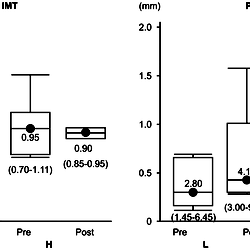 Intima-media thickness (IMT) and plaque scores before and after ...