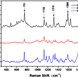 Typical Raman spectra of Cyt-c and isolated pure strains.