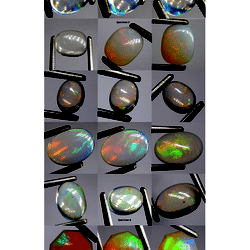 Photographs of all specimens under LED polychromatic light.