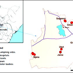 Map of Kenya (inset) and Gilgil Sub-county showing the location of the ...