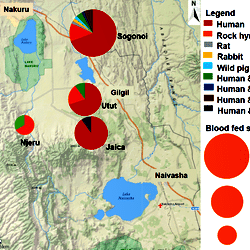 Map of Gilgil showing the proportions of bloodmeal sources per trapping ...