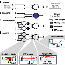Alternative encoding models to describe auditory neural responses to ...