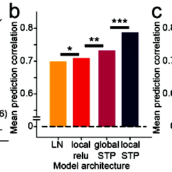 Spectral tuning of adaptation supports coding of sensory context in auditory cortex - Fig 4