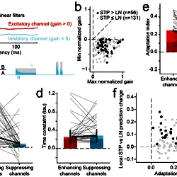 Spectral tuning of adaptation supports coding of sensory context in auditory cortex - Fig 6