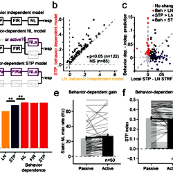 Spectral tuning of adaptation supports coding of sensory context in auditory cortex - Fig 8