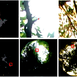 Examples of reference pixels.