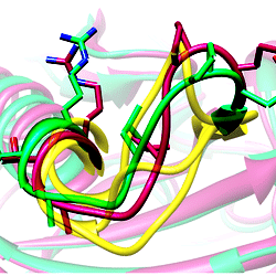 A successful example of loop modeling in the framework of a template ...