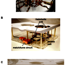 Photographs of the coil.