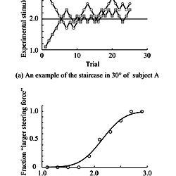 A typical result from the psychophysical experiment.