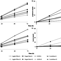 Cumulative production of SCFA.
