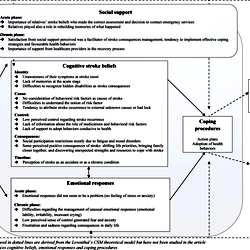 The stroke common sense model of self-regulation adapted from Leventhal ...