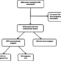 Case selection flowchart.