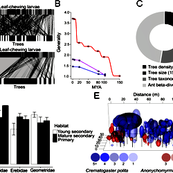 Example results from plot-based sampling.