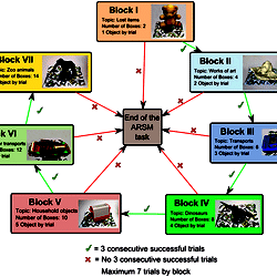 Flowchart of the ARSM task.