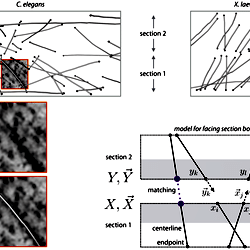 Model for section boundary.