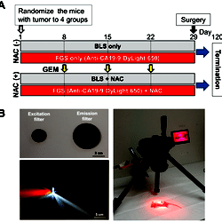 Experimental schema and FGS imaging system.