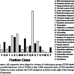 COG function classification.