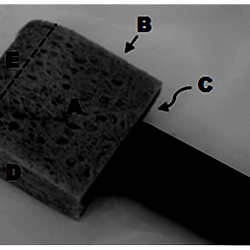 Sponge Stick Sampler.