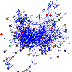 STRING network analysis.