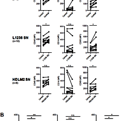 Characterization of the maturation and activation of moDC.
