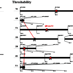 Location of additive and epistatic quantitative trait loci (QTLs) for ...