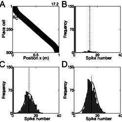 Spike count likelihood of place cells.