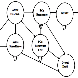 Schematic diagram of the computer simulation model.
