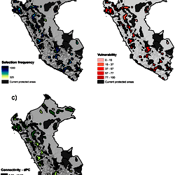 Priority assessment.