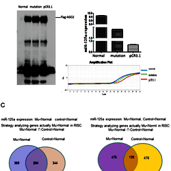 RIP-chip analysis to detect the altered repression profile enriched in ...