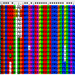 Alignment of AP2/ERE domain amino acid sequences from Elaeis guineensis ...