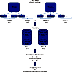 Design of DNA pooling with sample matching.
