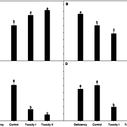 Quantitative expression analysis of MTP8 genes in barley plants grown ...