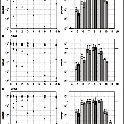 pH and temperature stability of the phages CP14, CP81 and CP68.