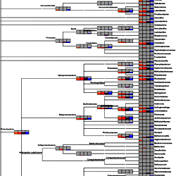A detailed chart for the comparison of microbial structure.