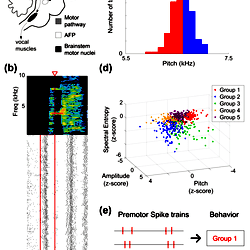 Neural data and spike train analysis.