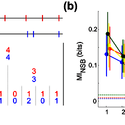 Direct calculation of information reveals more information at finer ...