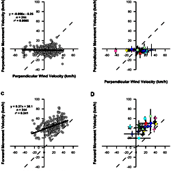 Wind vector analysis.